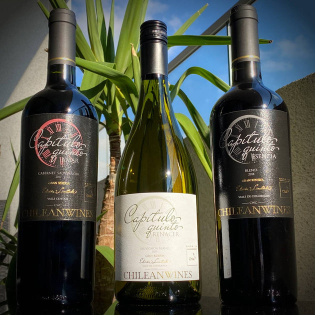 Vinos Premium exclusivos y boutique ChileanWines - Buenos vinos ...