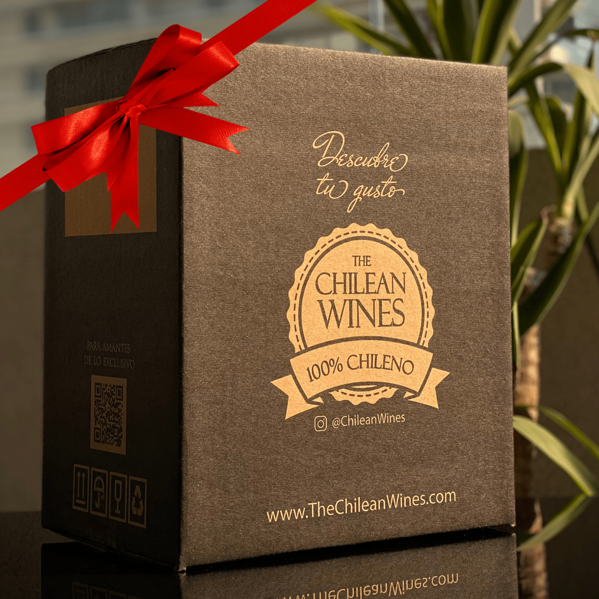 ¡Nuevo! Caja con 6 Syrah Gran Reserva Casa Nuestra – Chileanwines ...